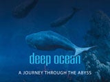 OCEANO PROFUNDO - Documentários - RTP