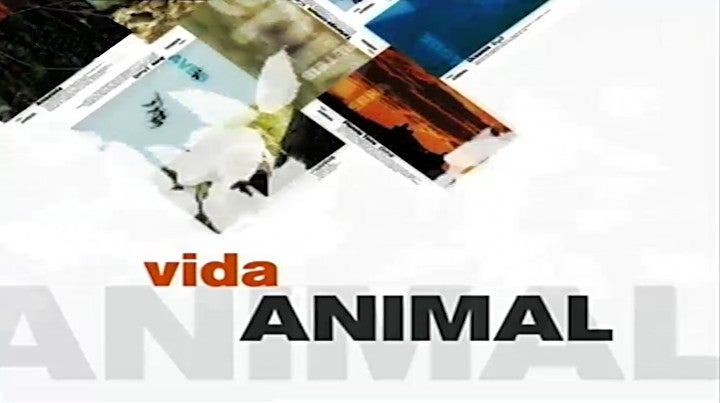 Vida Animal em Portugal e no Mundo de 06 nov 2014 - RTP Play