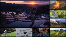 Satoyama - Documentários - RTP