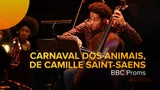 BBC Proms: Carnaval dos Animais de Camille Saint-Saens - Musicais - RTP