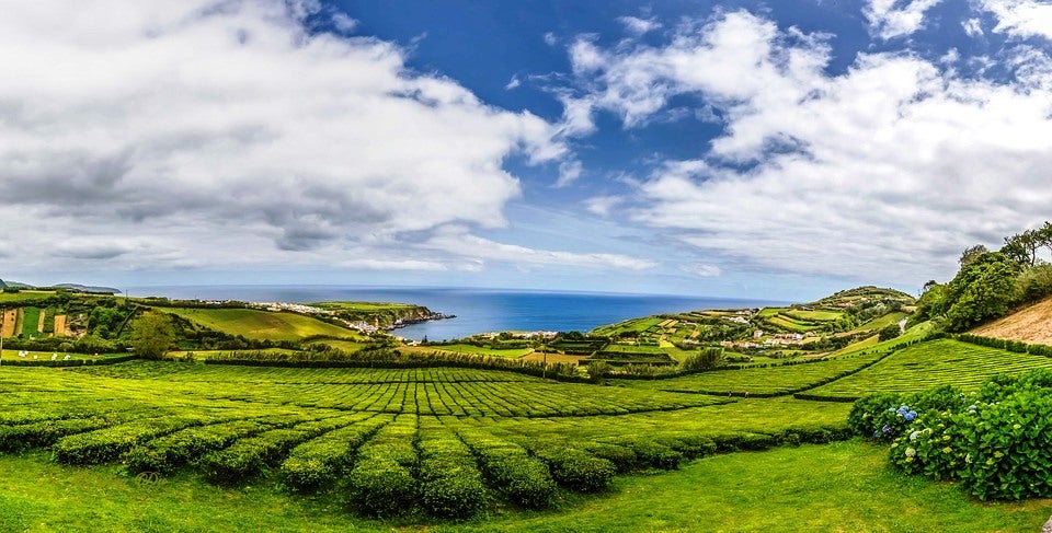 Açores Hoje – RTP Arquivos
