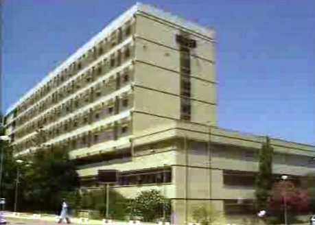 Burla hospitalar – RTP Arquivos