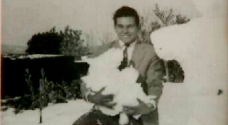 Neve No Algarve Rtp Arquivos