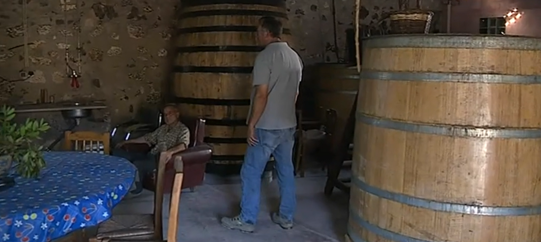 Cultura do medronho – RTP Arquivos