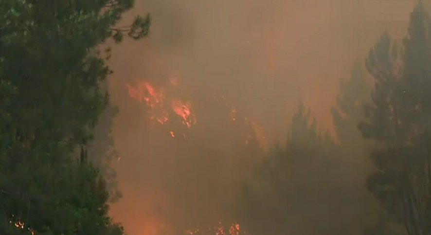 Como começou o incêndio em Pedrógão Grande? – RTP Arquivos