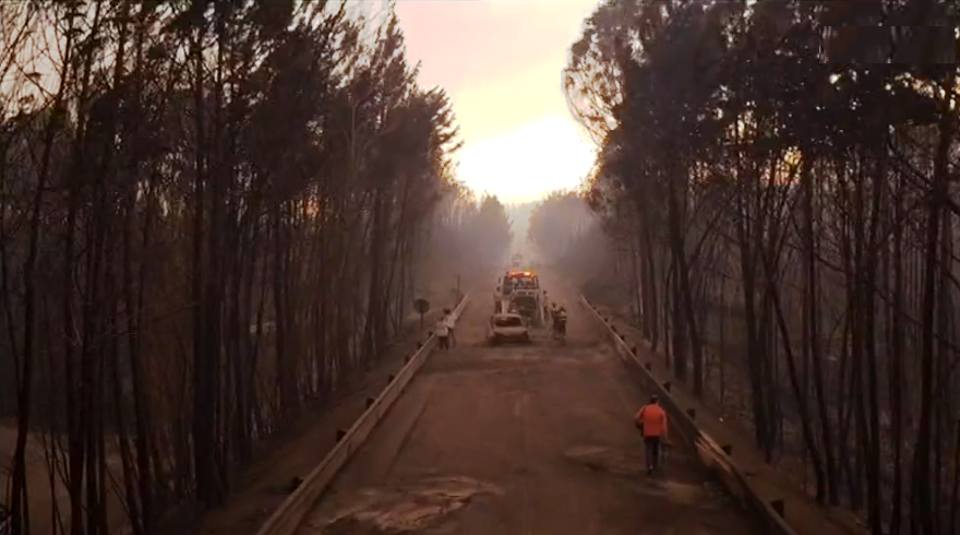 Incêndios em Pedrógão Grande – RTP Arquivos