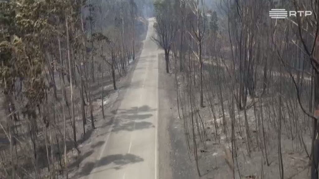 Antes, durante, depois. O incêndio de Pedrógão Grande revisto em imagens