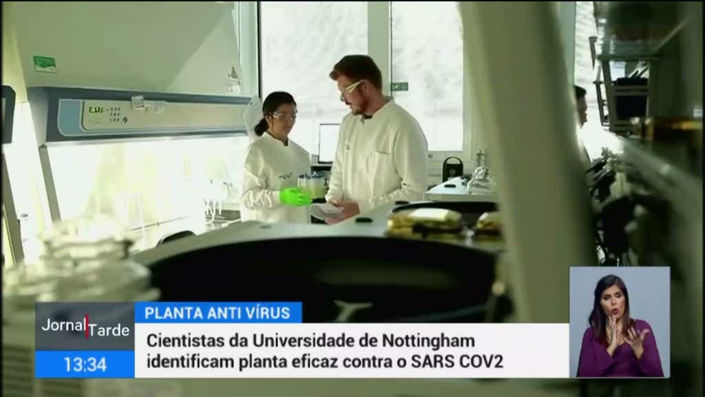 Tapsigargina é um potencial anti-viral contra a covid-19