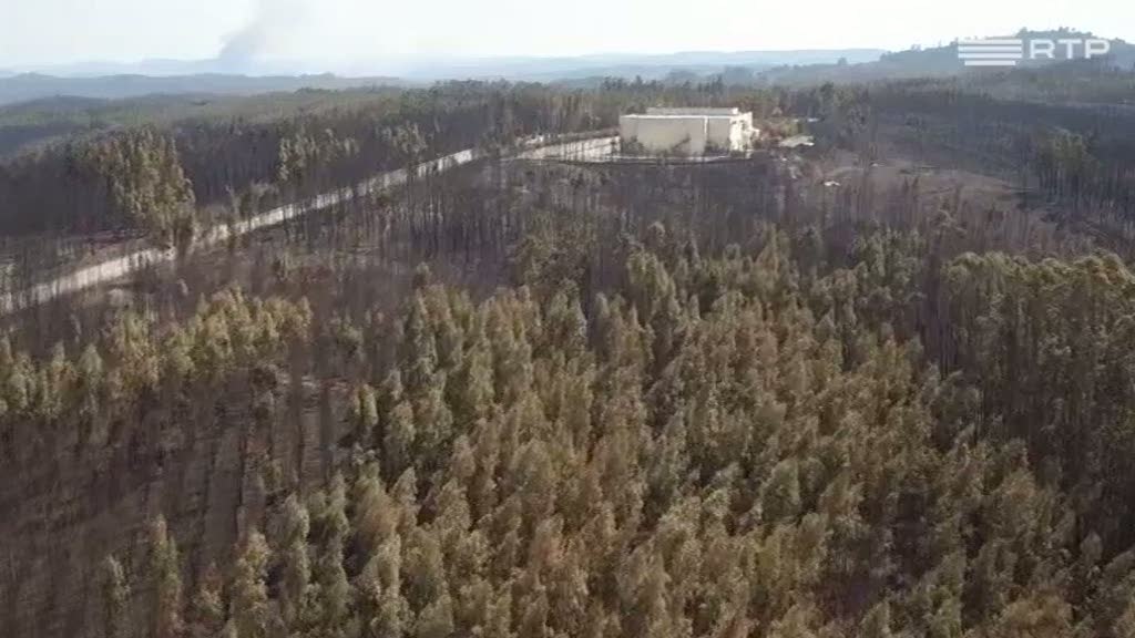Antes, durante, depois. O incêndio de Pedrógão Grande revisto em imagens