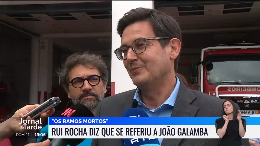 "Os ramos mortos da árvore". Rui Rocha insiste na demissão de Galamba