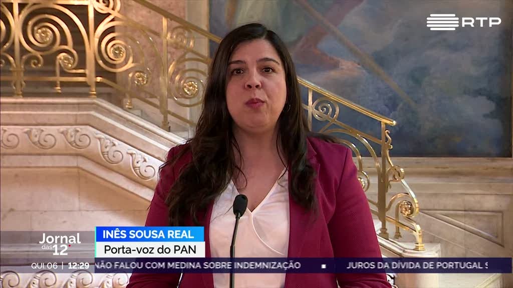 Inês de Sousa Real recandidata-se à liderança do PAN