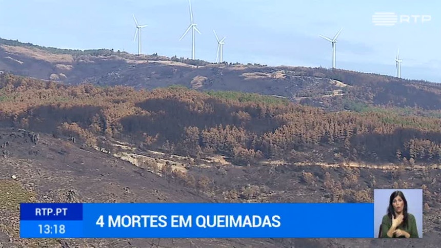 Queimadas descontroladas mataram quatro pessoas este ano
