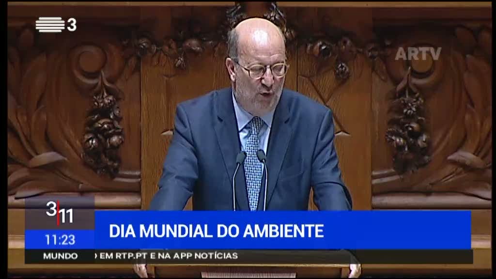 Dia Mundial do Ambiente. Portugal reduz emissões de carbono em 8,5% em 2019
