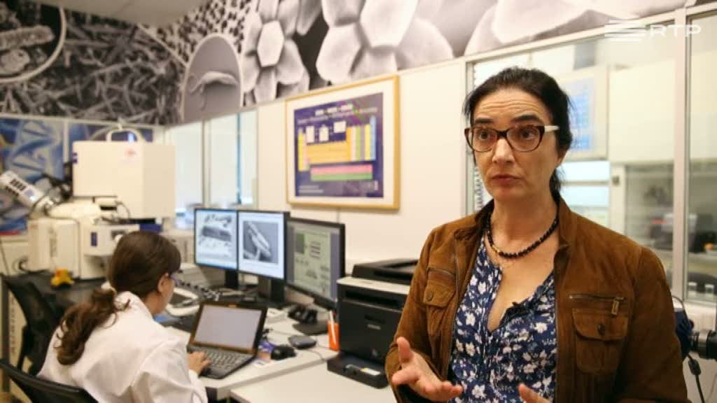 Transístor de papel: a descoberta de Elvira Fortunato que já ...