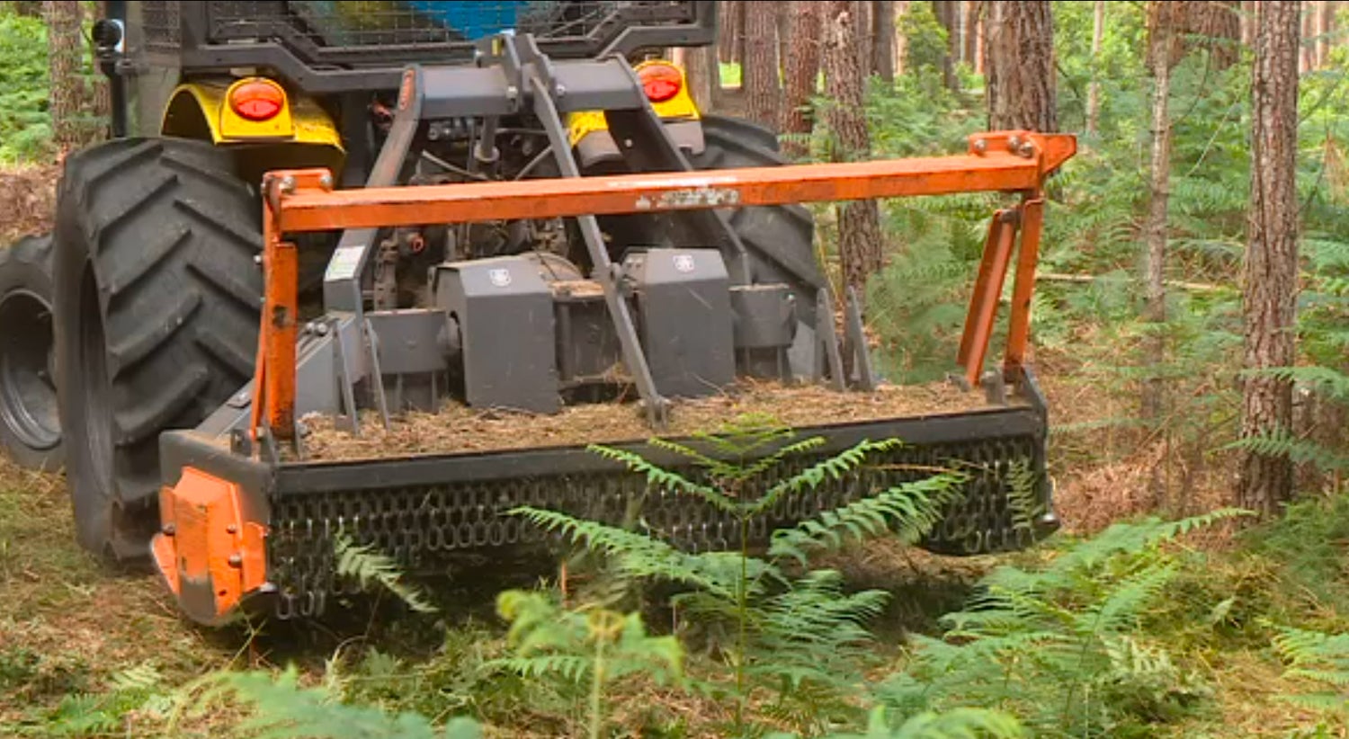 Recuperação do Pinhal do Rei. Nove milhões de investimento até 2025