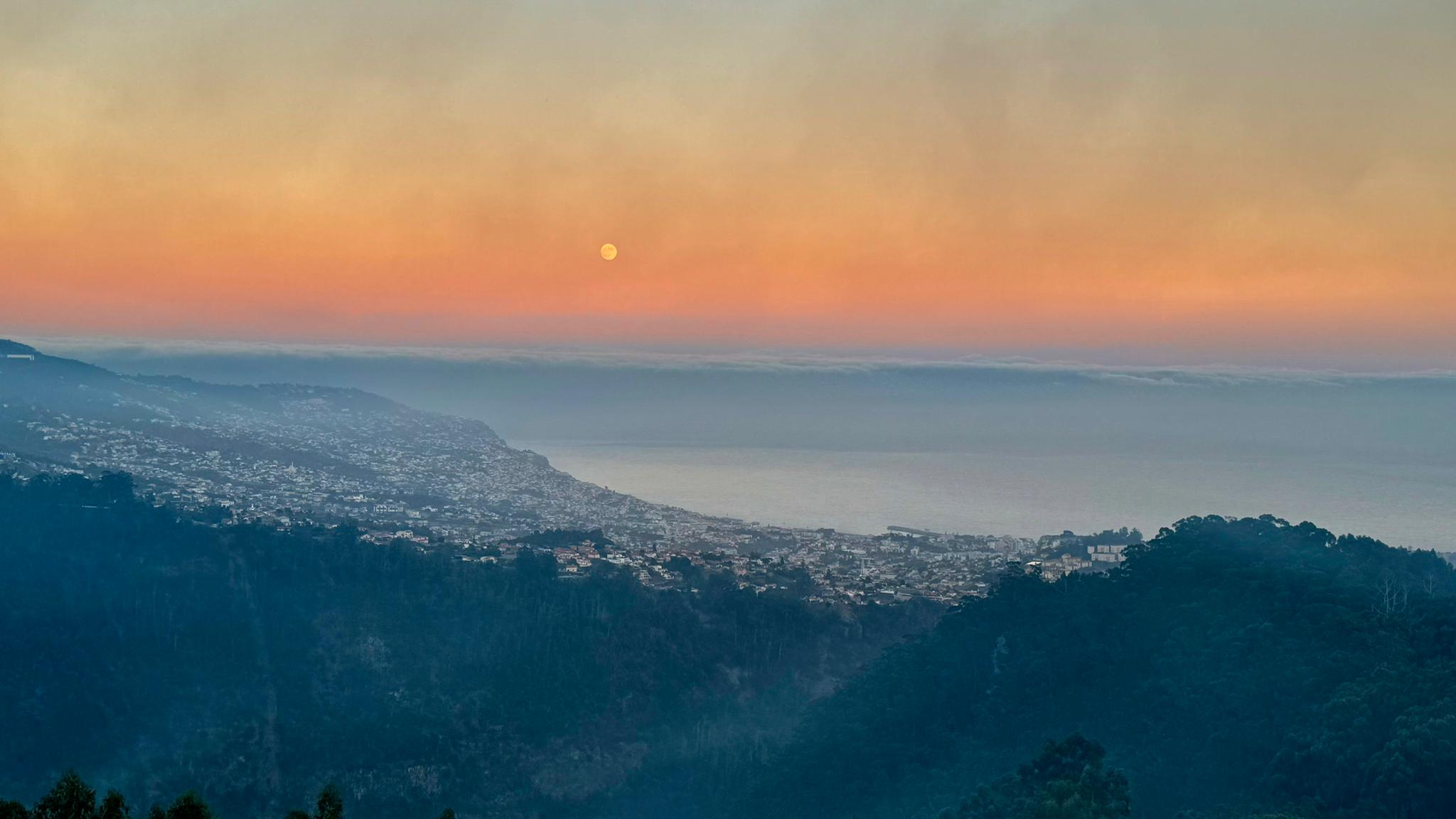 Reforços do continente. "Se tivessem chegado antes, teriam sido ...