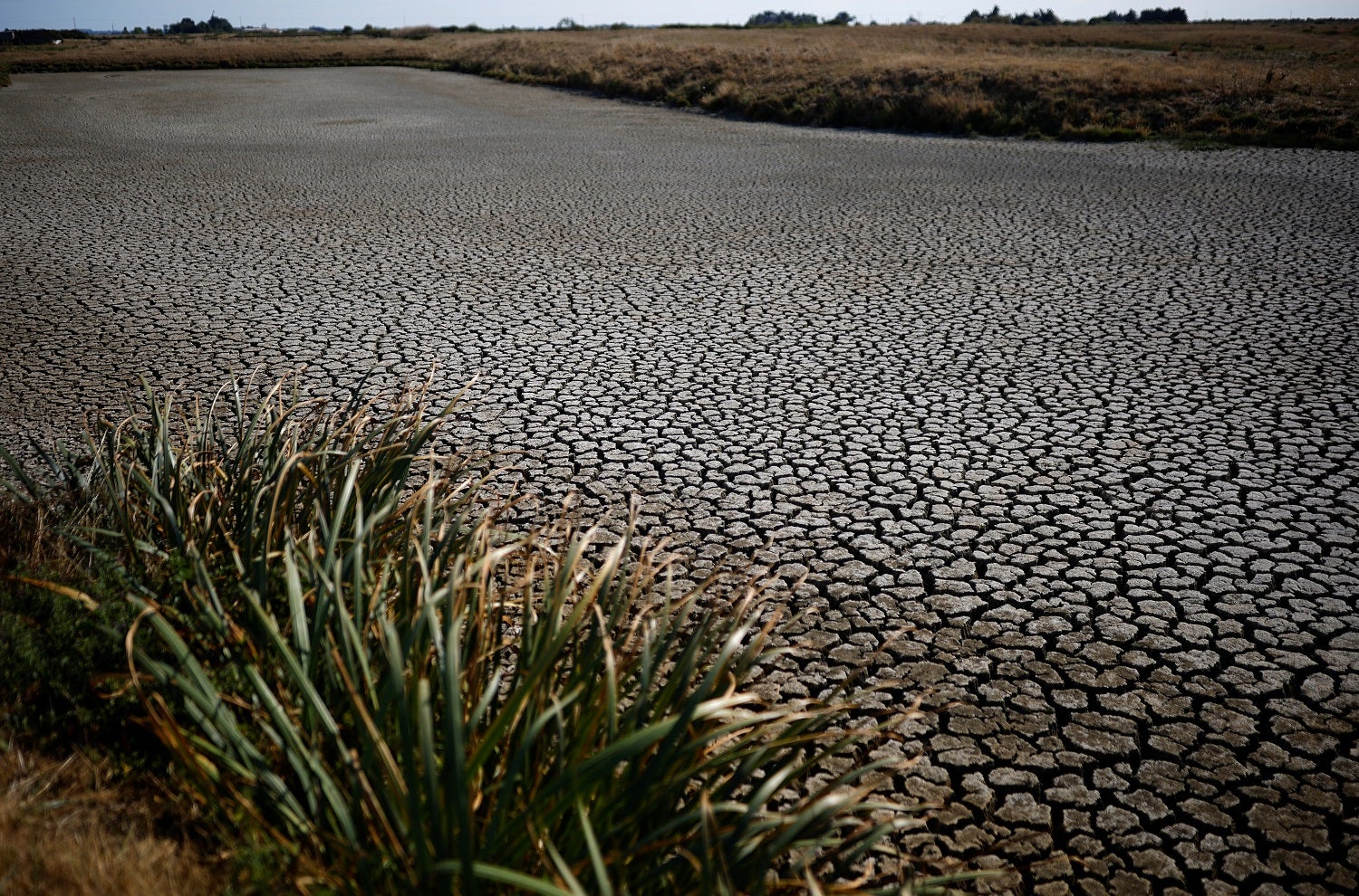Está para durar a situação de seca em Portugal