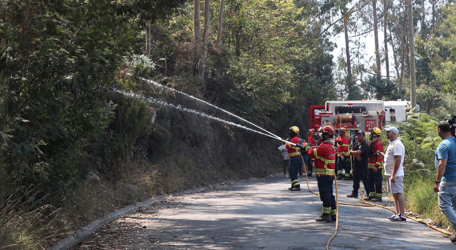 Firefighting in Madeira. Current scenario - World Today Journal