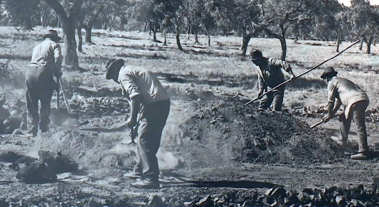 Exposição fotográfica em Ílhavo evoca Reforma Agrária