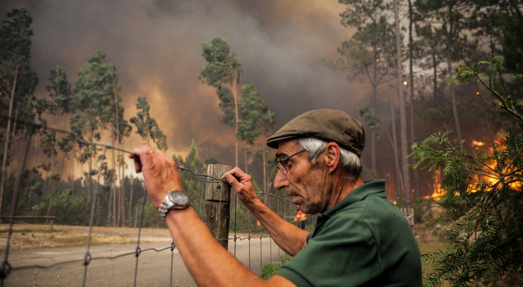 Imagens de satélite da NASA mostram incêndios em Portugal Imagens de satélite da NASA mostram incêndios em Portugal