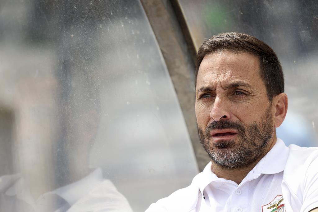 Vasco Matos atento à forma dos "galos"