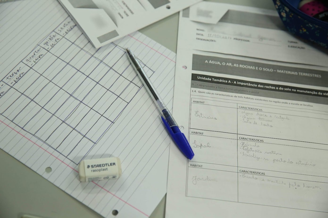 Bullying e indisciplina diminuíram em escolas que proibiram telemóveis