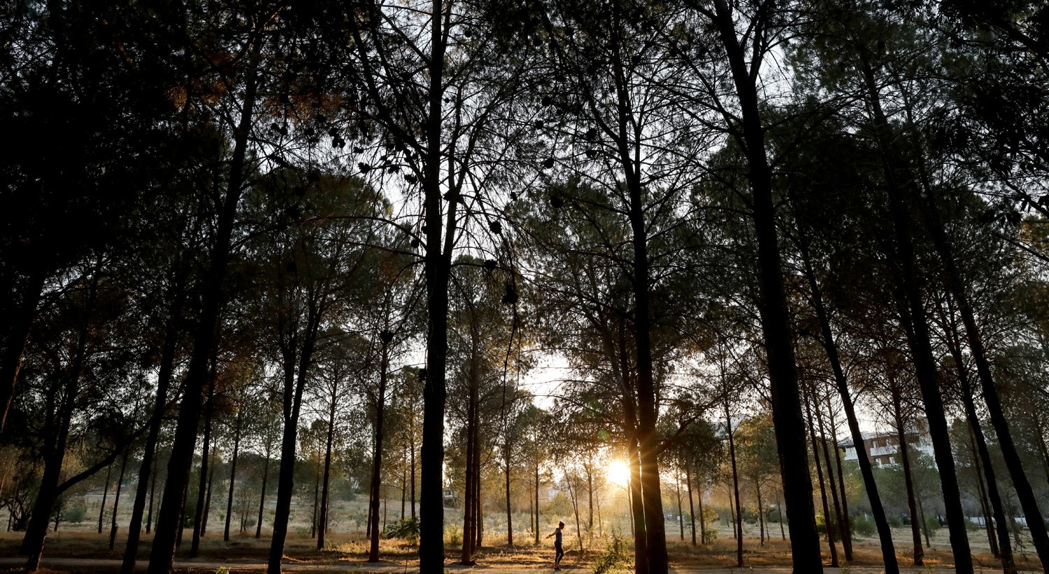 Dia da Terra. O nosso mundo ao natural