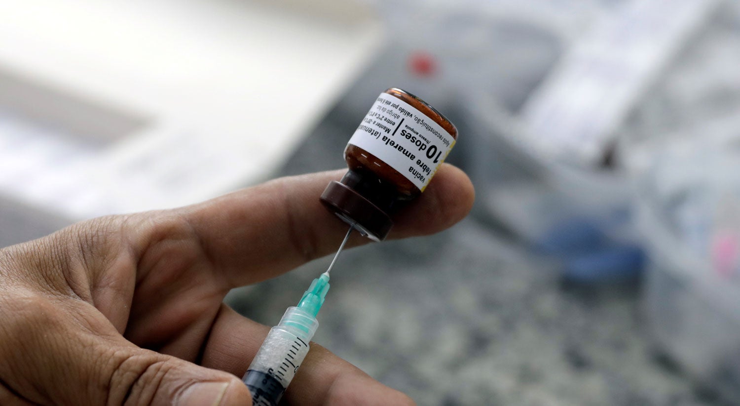 DGS recomenda vacina da febre amarela a quem viaja para o Brasil