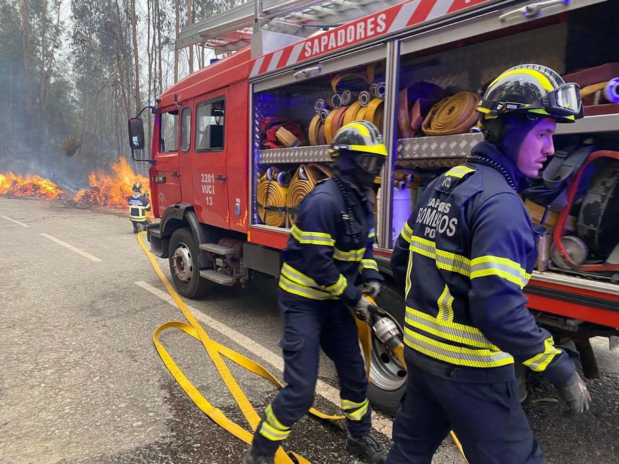 Combate aos incêndios. ANEPC diz que não existem indícios de problemas