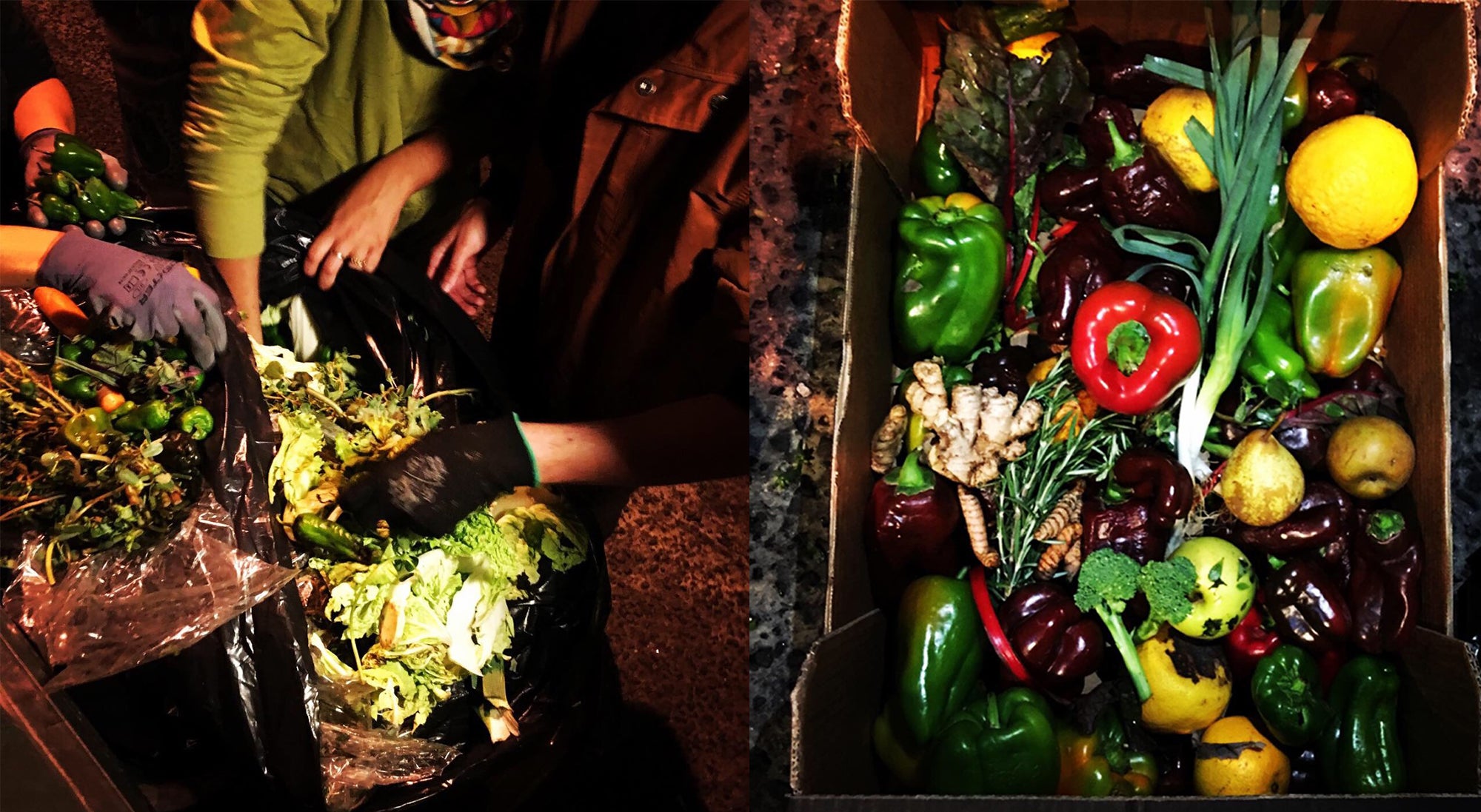 Comida ao Lixo. As toneladas de alimentos que desperdiçamos