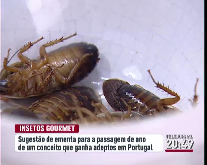 Cozinha com insetos começa a ganhar seguidores em Portugal