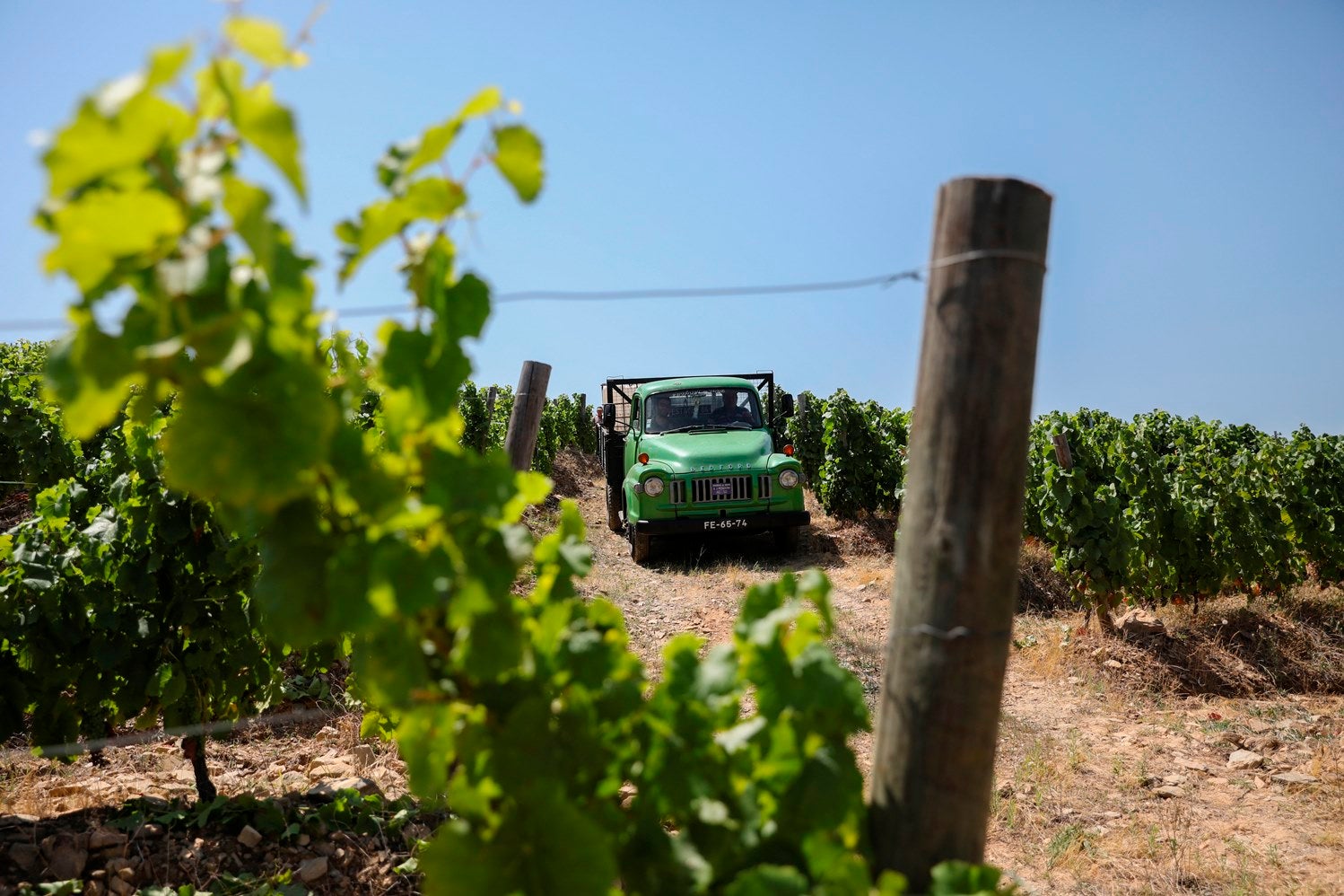 Comissão Europeia apresentou proposta para rever condicionalismos da PAC