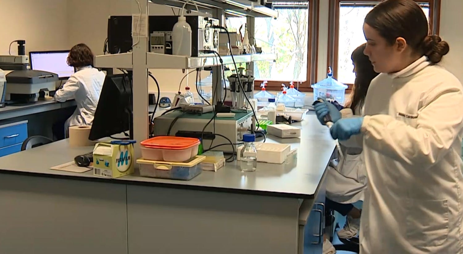 Investigadores do Porto criam dispositivo para monitorizar cancro do ...