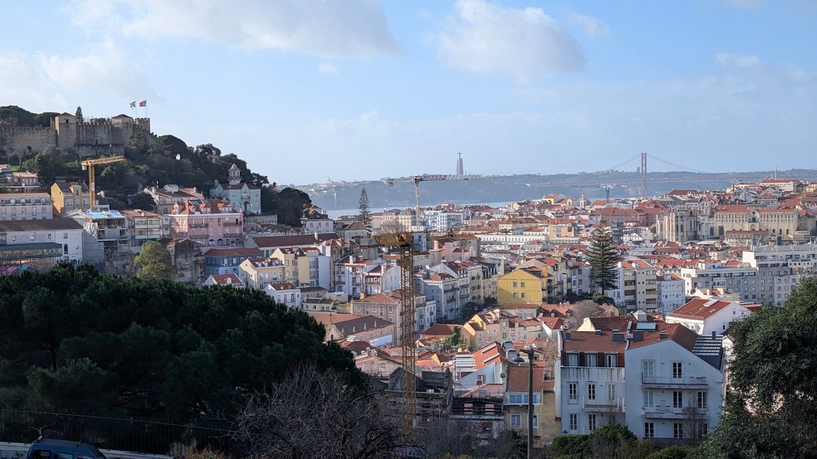 Projeto para abate de árvores em Lisboa gera polémica