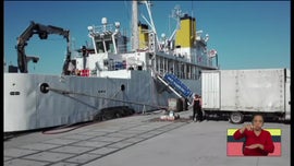 Episódio n.º42 - Radar XS - Infantis e Juvenis - RTP