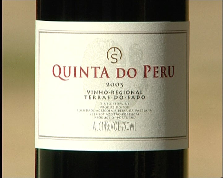 Fernando Mendes – RTP Arquivos