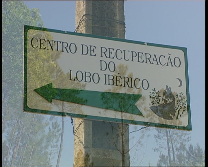 O Minuto do Gil – RTP Arquivos