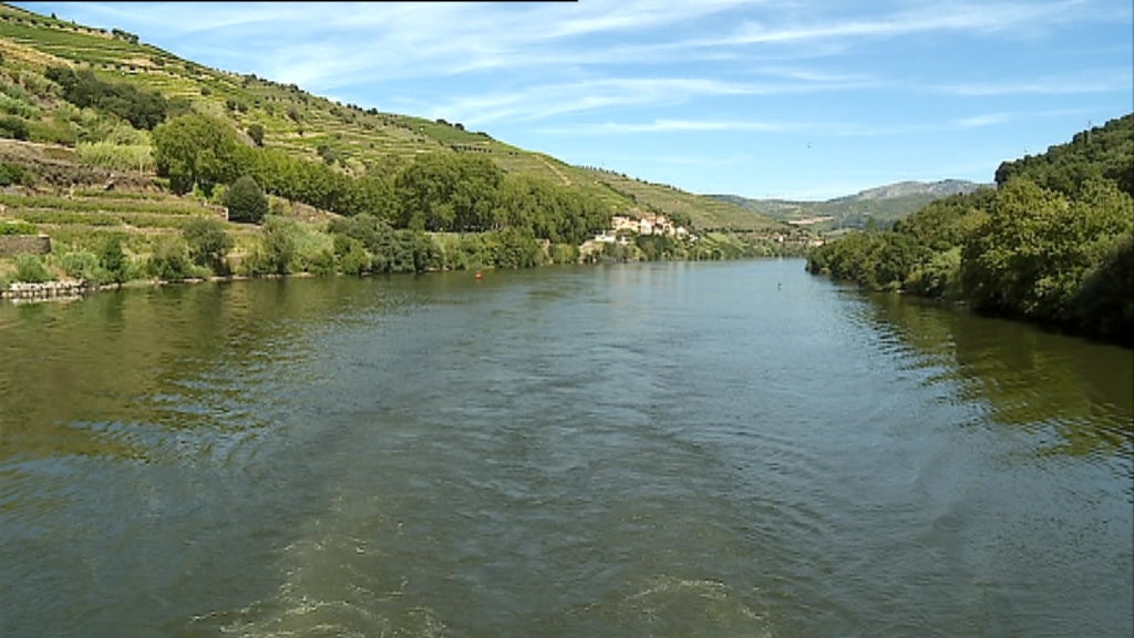 Turismo fluvial no rio Douro – RTP Arquivos