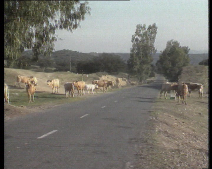 Seca no Alentejo – RTP Arquivos